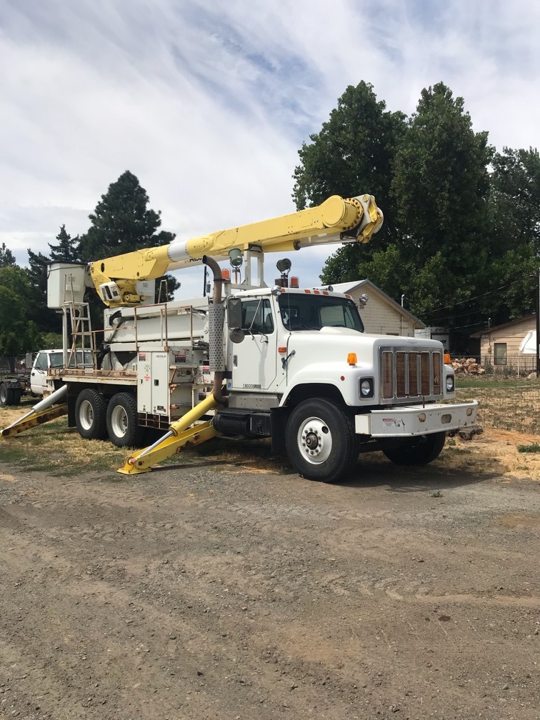 International 2000 Trucks For Sale - Commercial Truck Trader