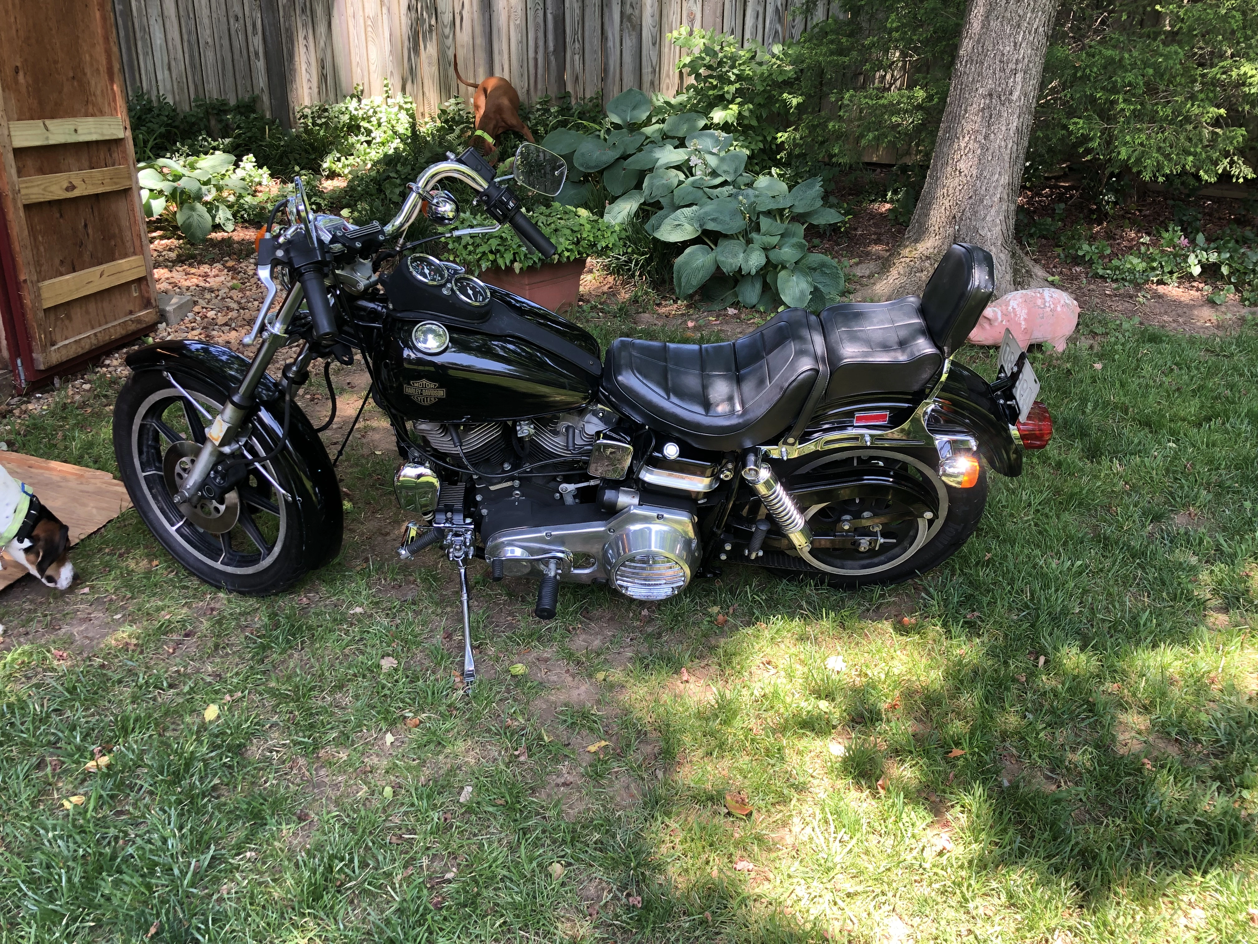 1983 Harley-Davidson For Sale - Harley-Davidson Motorcycles - Cycle Trader