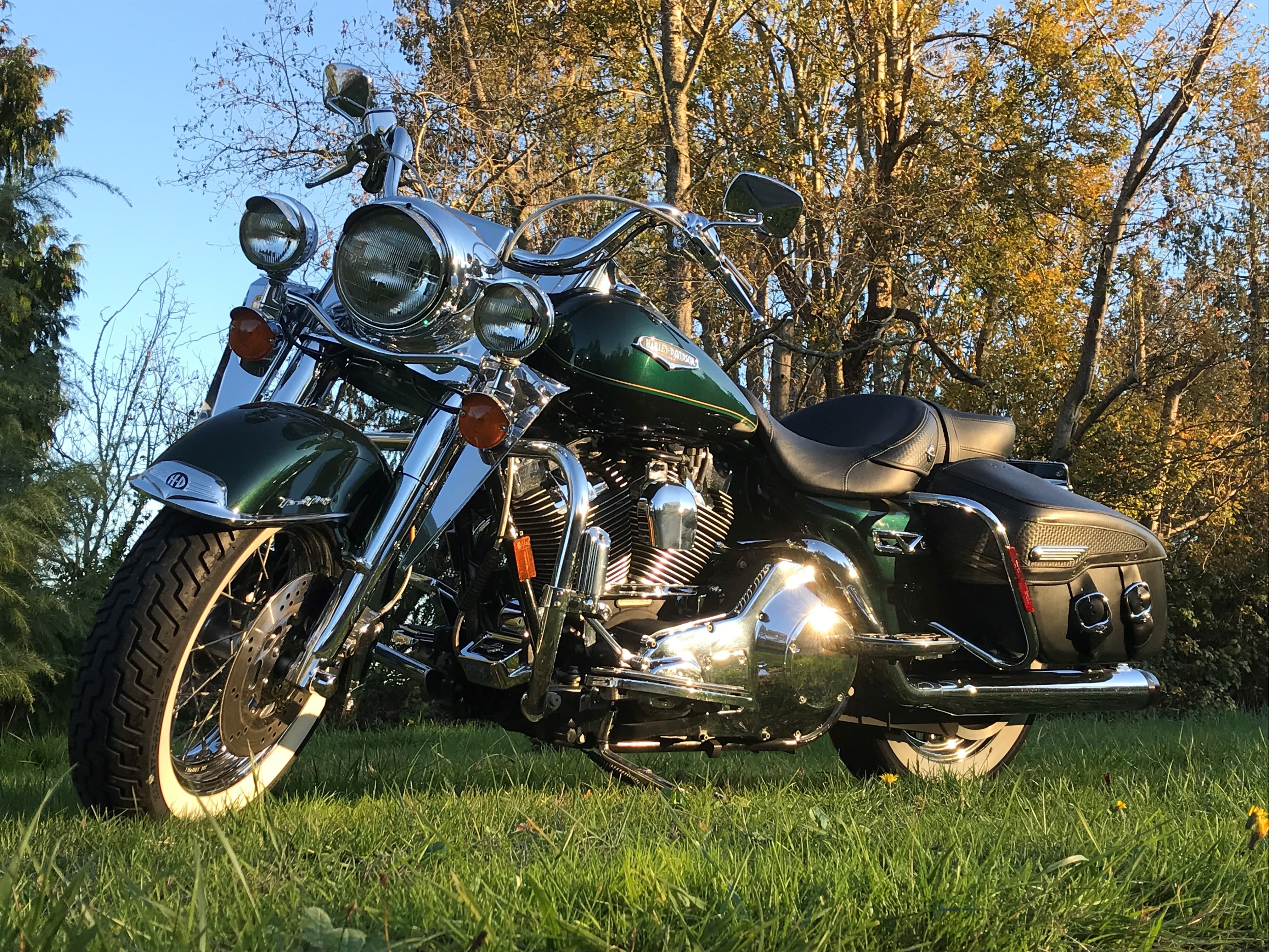 Green Harley-Davidson For Sale - Harley-Davidson Motorcycles - Cycle Trader
