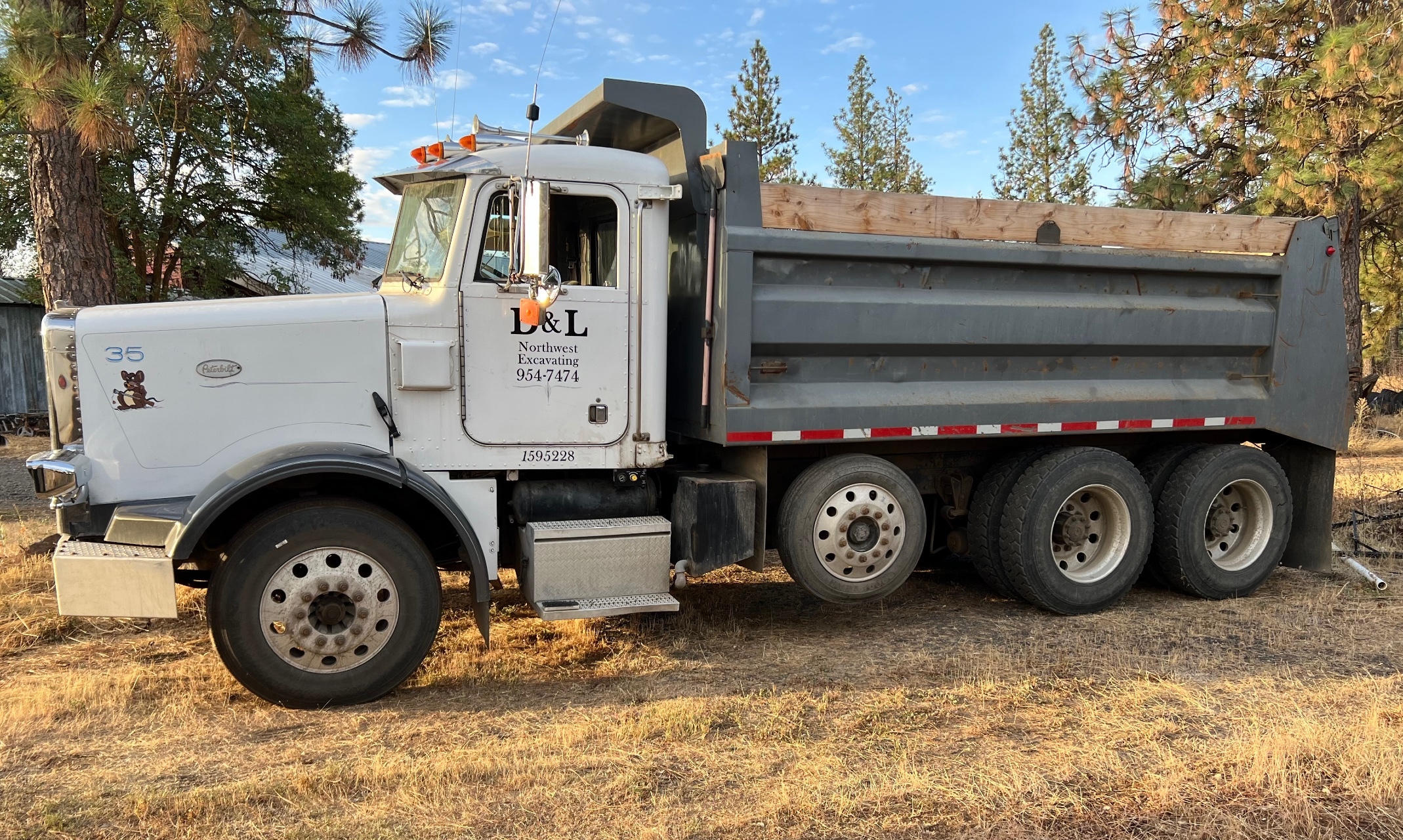 Peterbilt 378 Class 8 (gvw 33001 - 150000) Trucks for Sale | Commercial ...