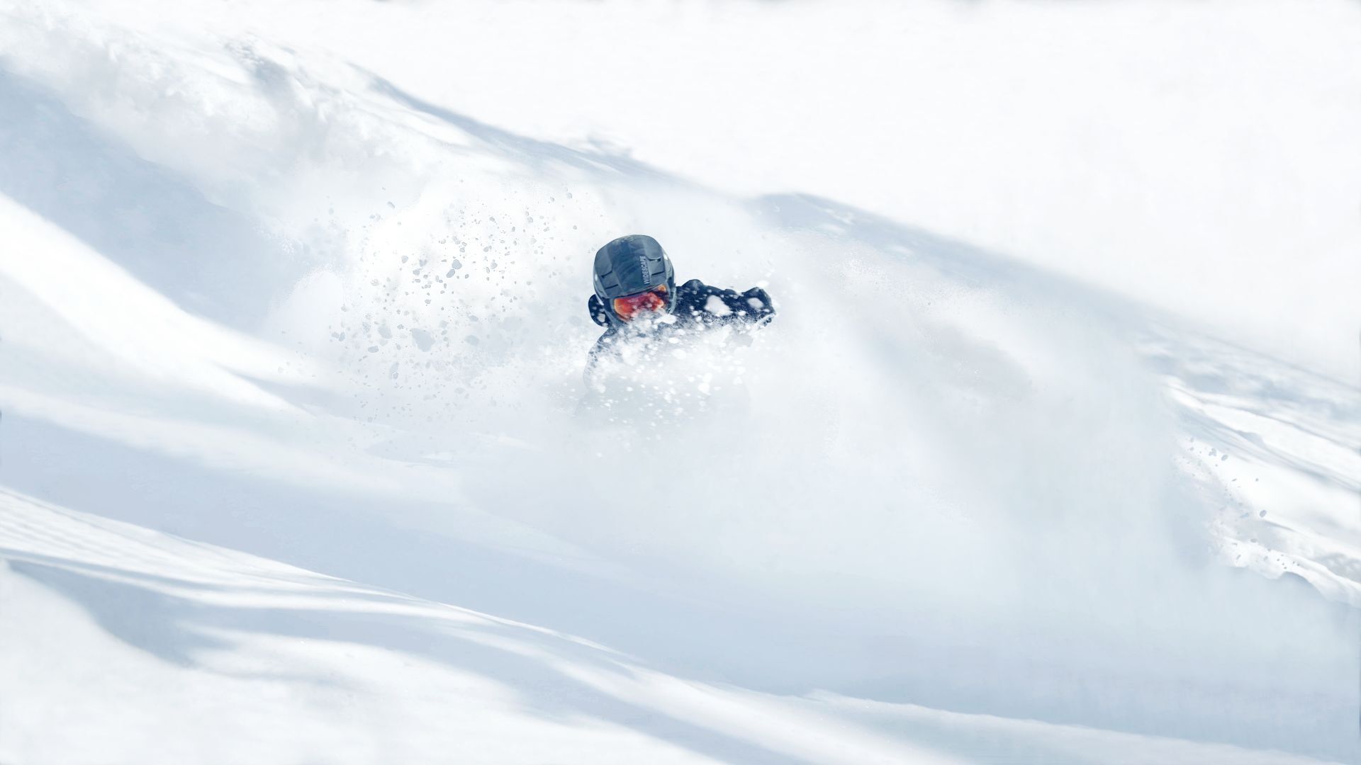 New 2024 Widescape 250 For Sale in Portland, OR - 5033745389 ...