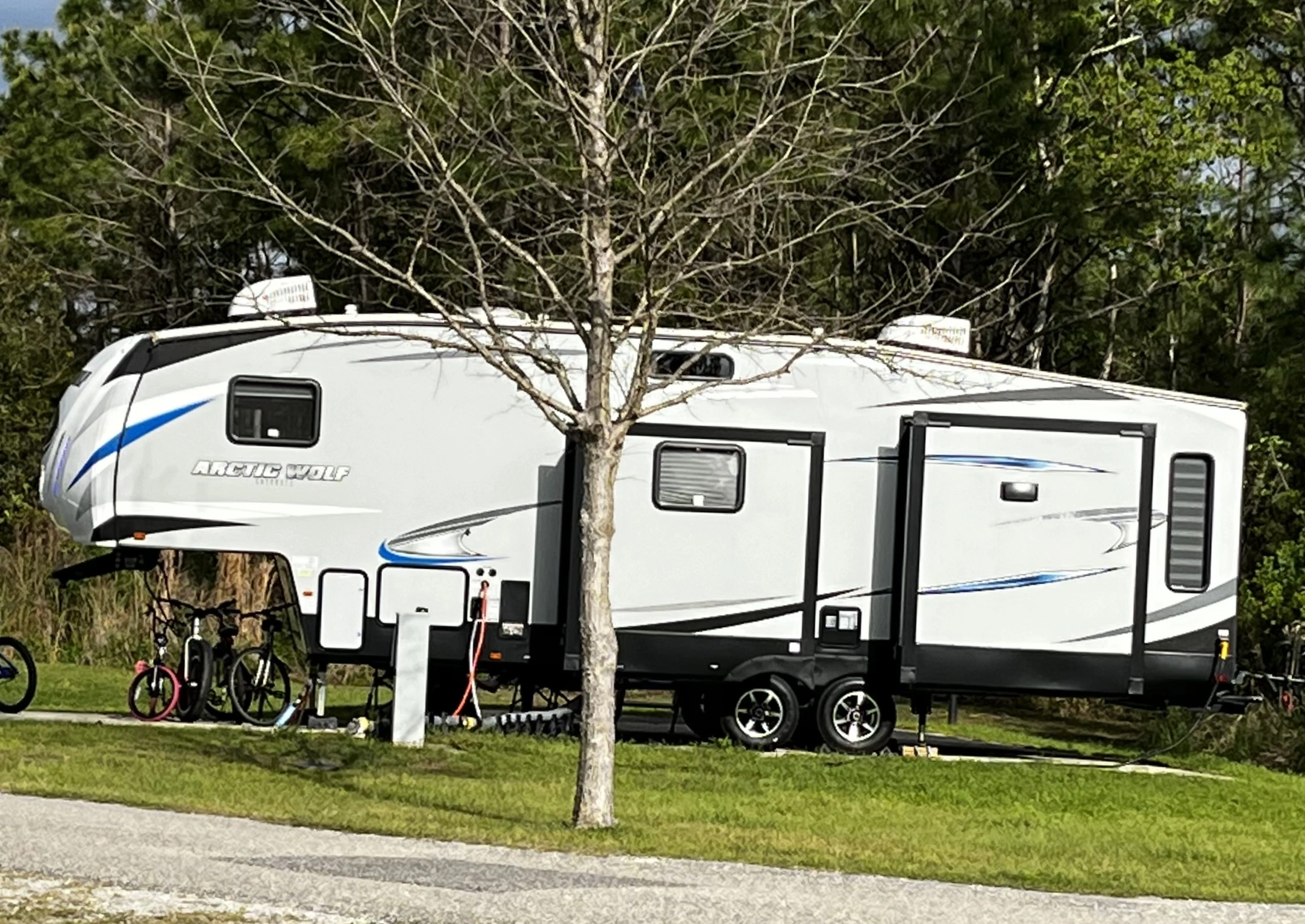2020 Forest River Cherokee RVs For Sale - RV Trader