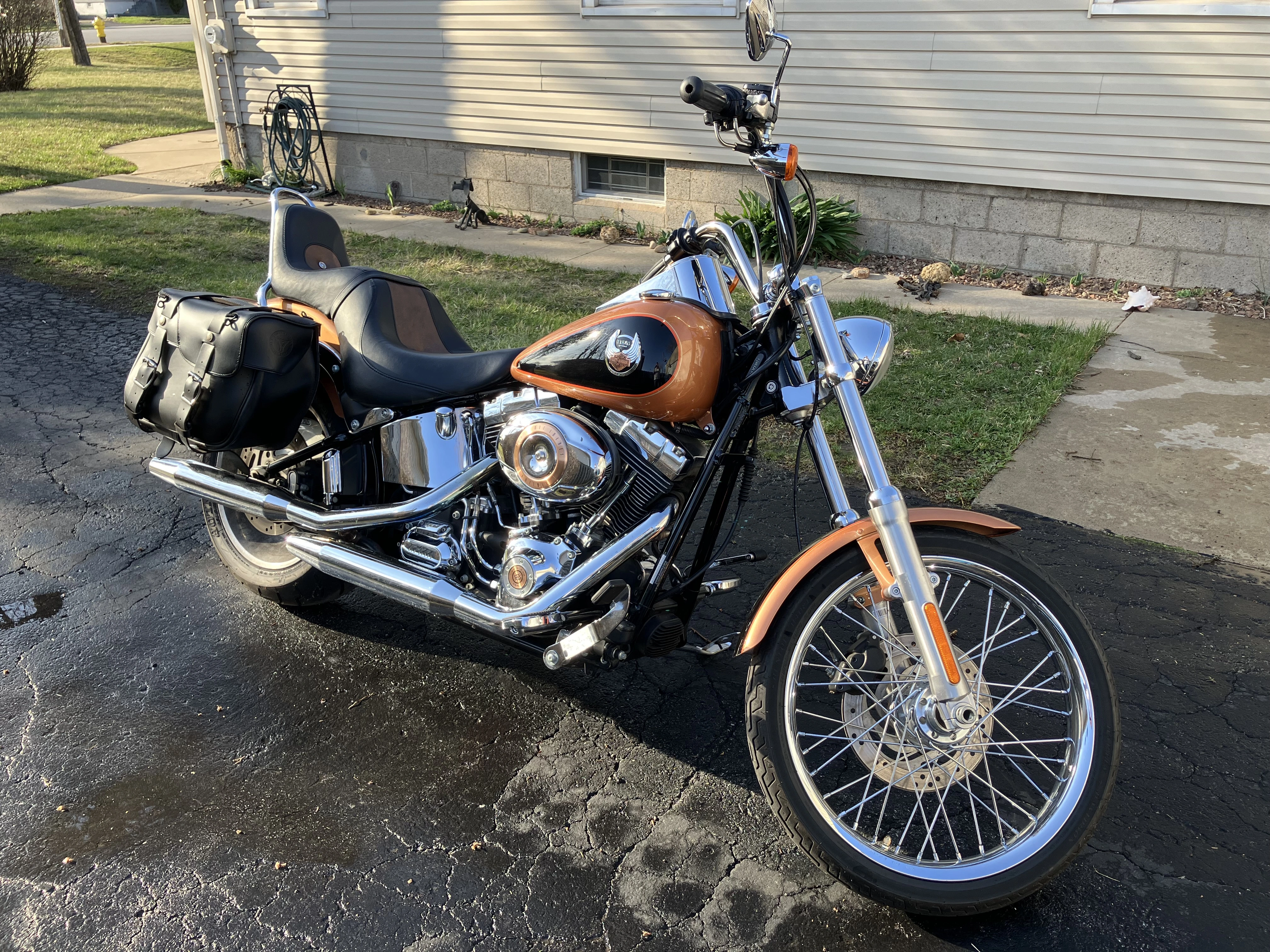 Harley-Davidson Softail Fxstc Motorcycles For Sale - Cycle Trader