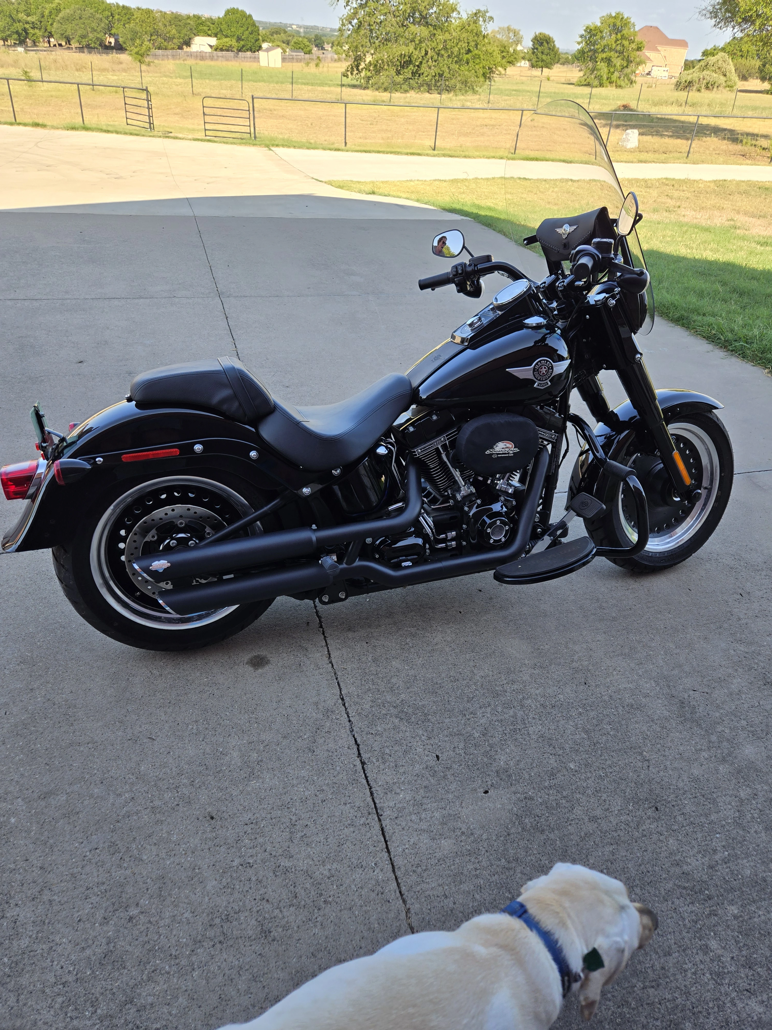 Harley-Davidson Classic / Vintage Motorcycles For Sale - Cycle Trader