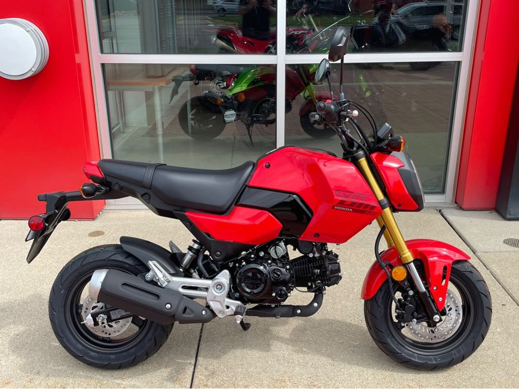 Buy Online - New 2025 Honda Grom Base For Sale in Southgate, MI ...