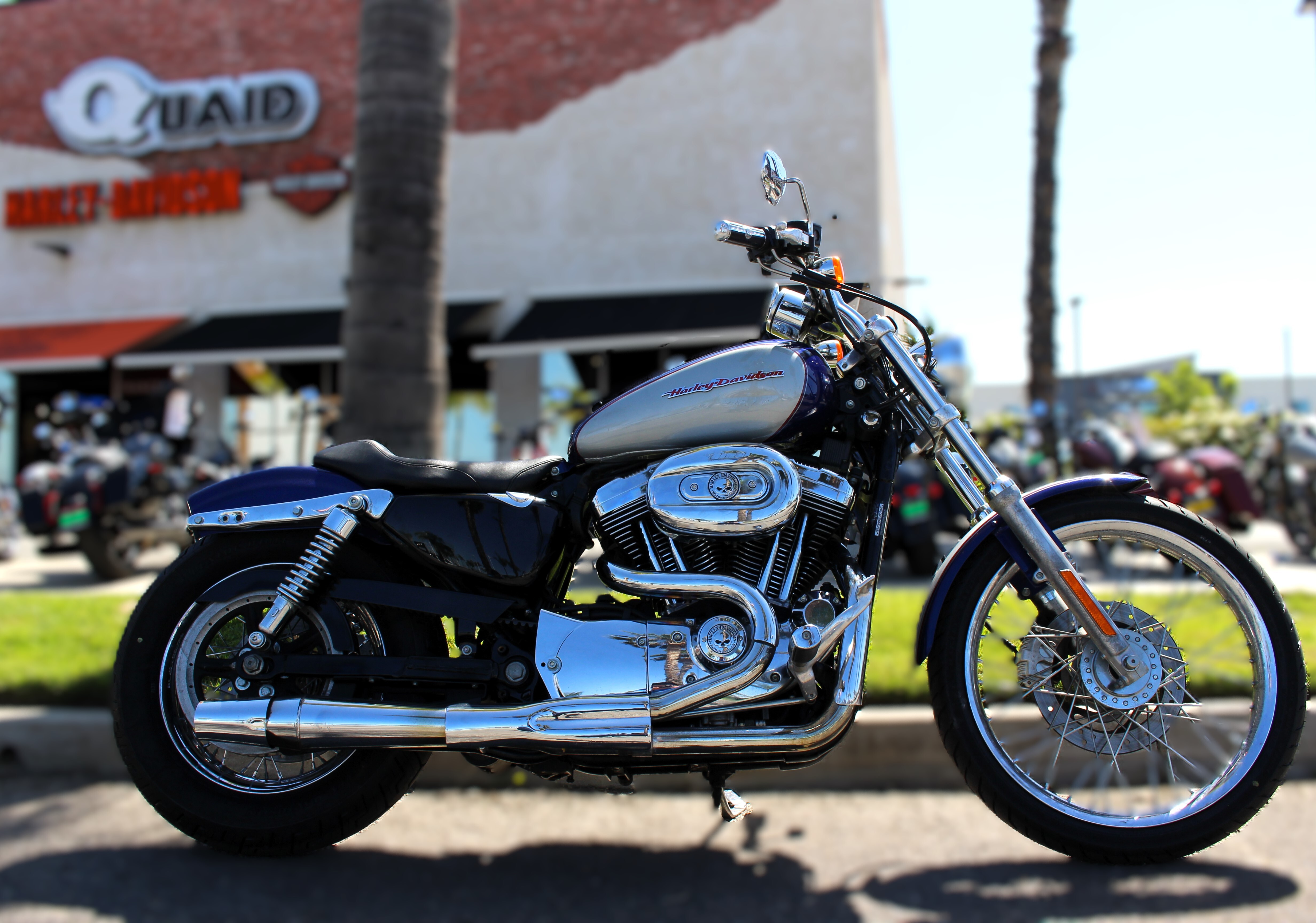 2006 Custom,harley-Davidson Sportster Motorcycles For Sale - Cycle Trader