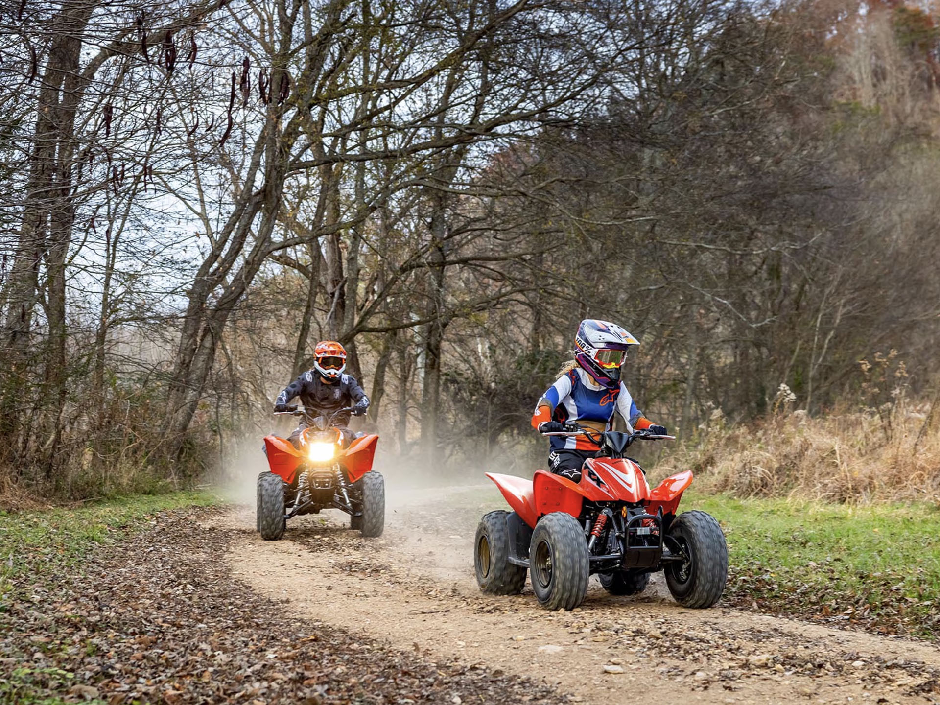 New 2025 Honda TRX 90X For Sale in Wake Forest, NC - 5036473703 - ATV ...