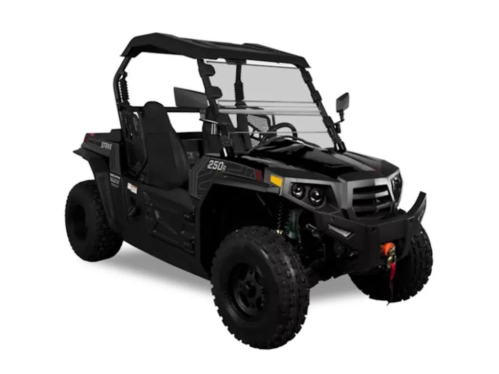 Hisun Strike 250 Four Wheelers For Sale - ATV Trader