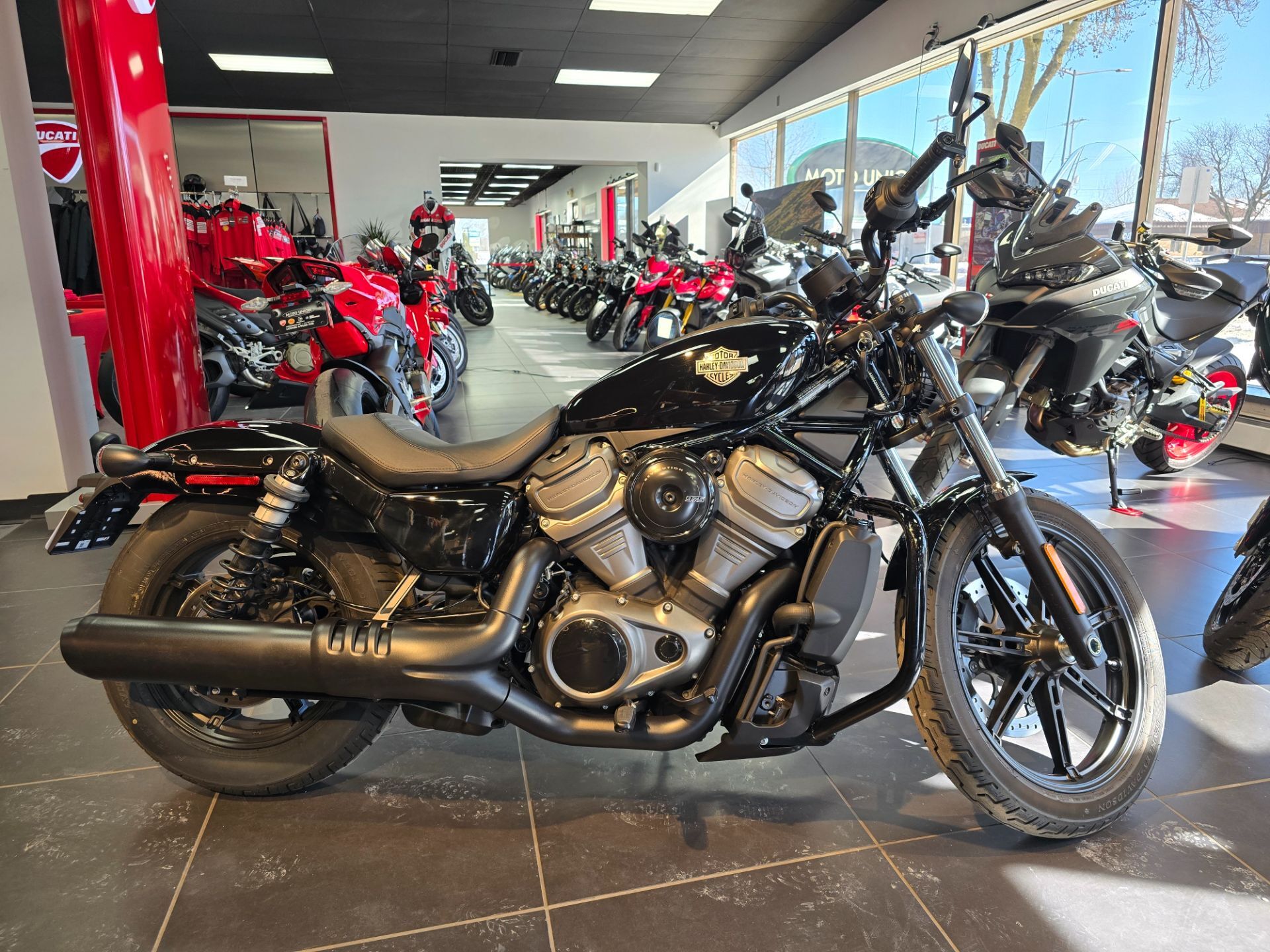 Harley-Davidson Nightster Motorcycles For Sale Near Minneapolis, MN ...