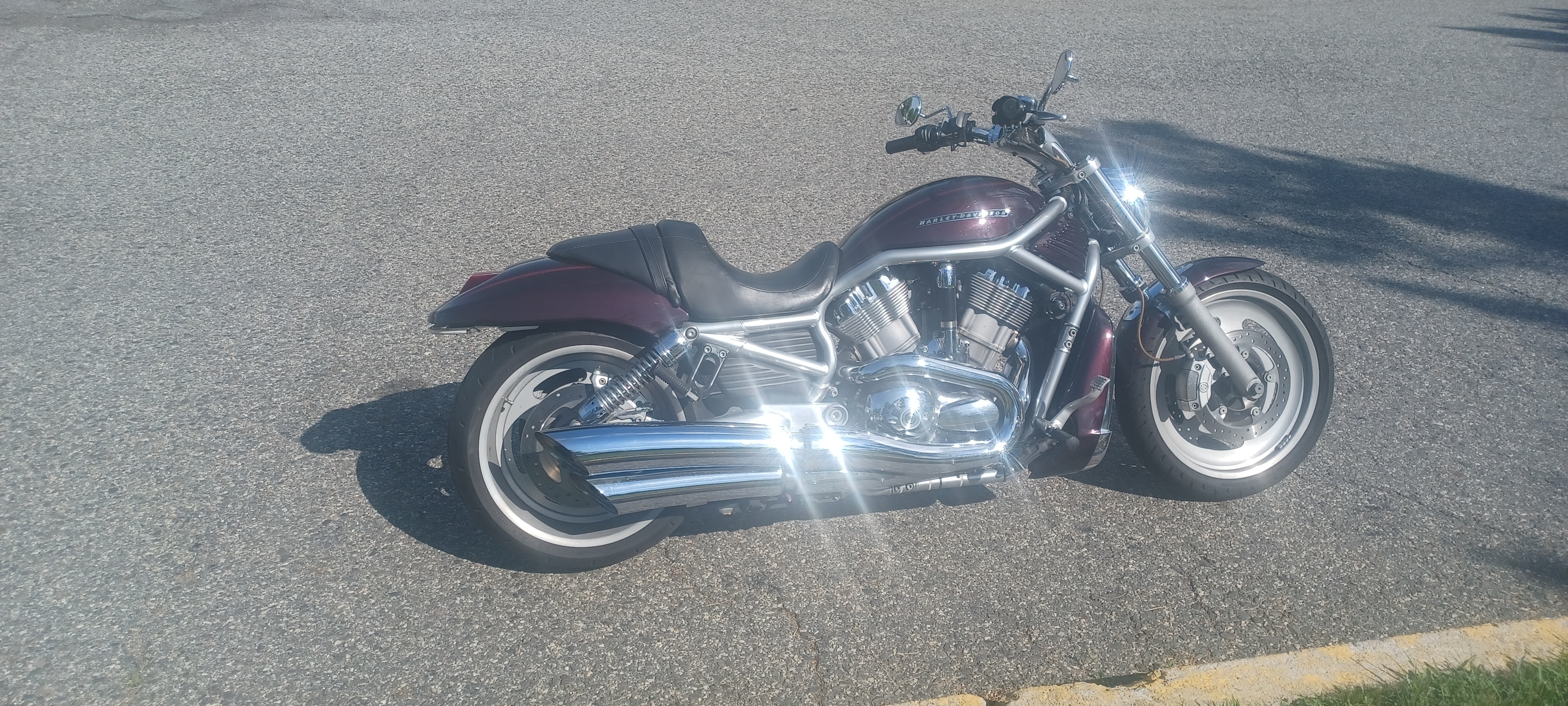 Harley-Davidson V-Rod Motorcycles For Sale Near Pittsview, NJ - Cycle ...
