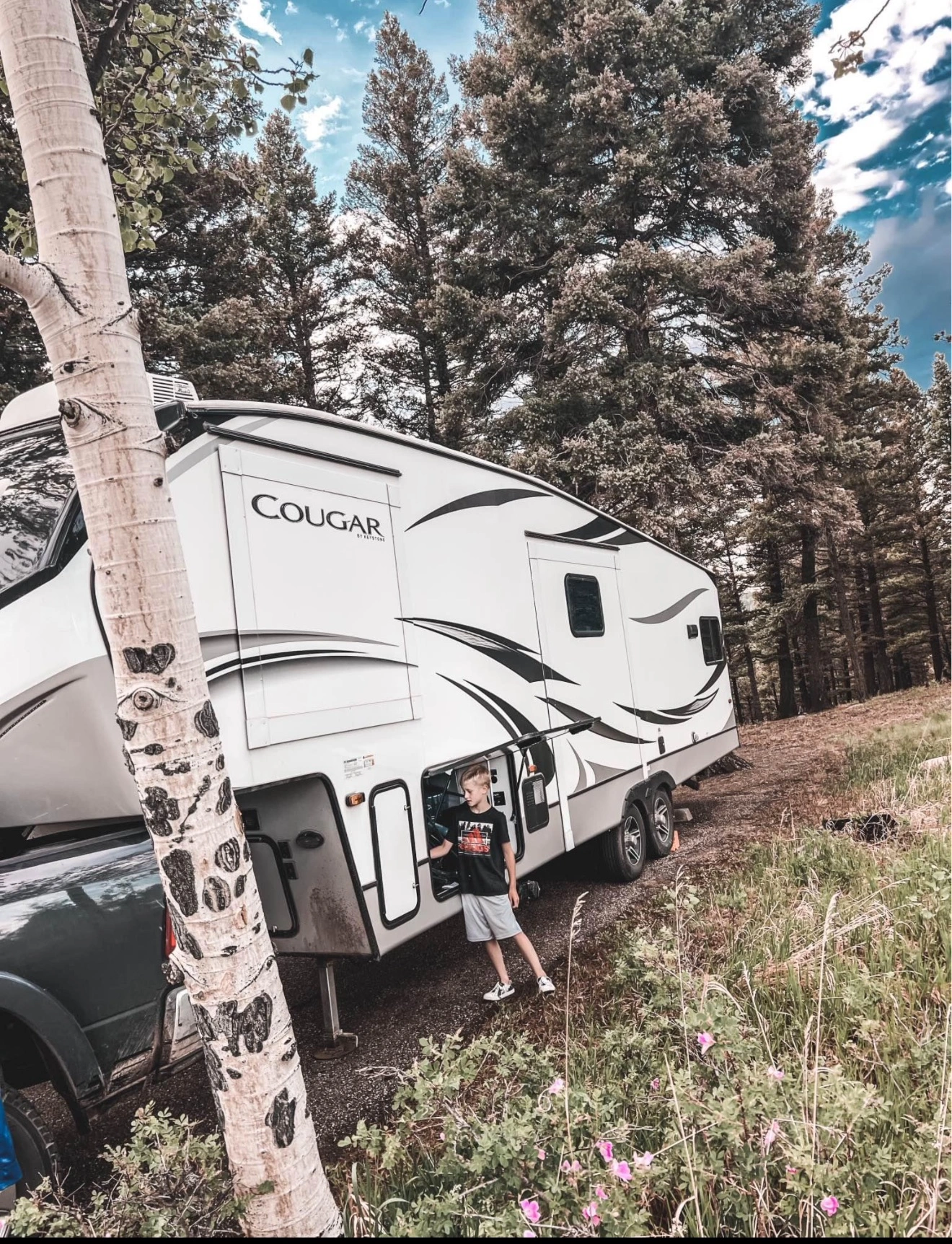 Keystone Cougar Half-Ton 29MBS RVs For Sale - RV Trader