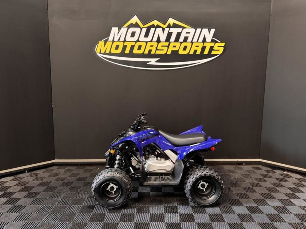 Yamaha Raptor 110 Four Wheelers For Sale - ATV Trader