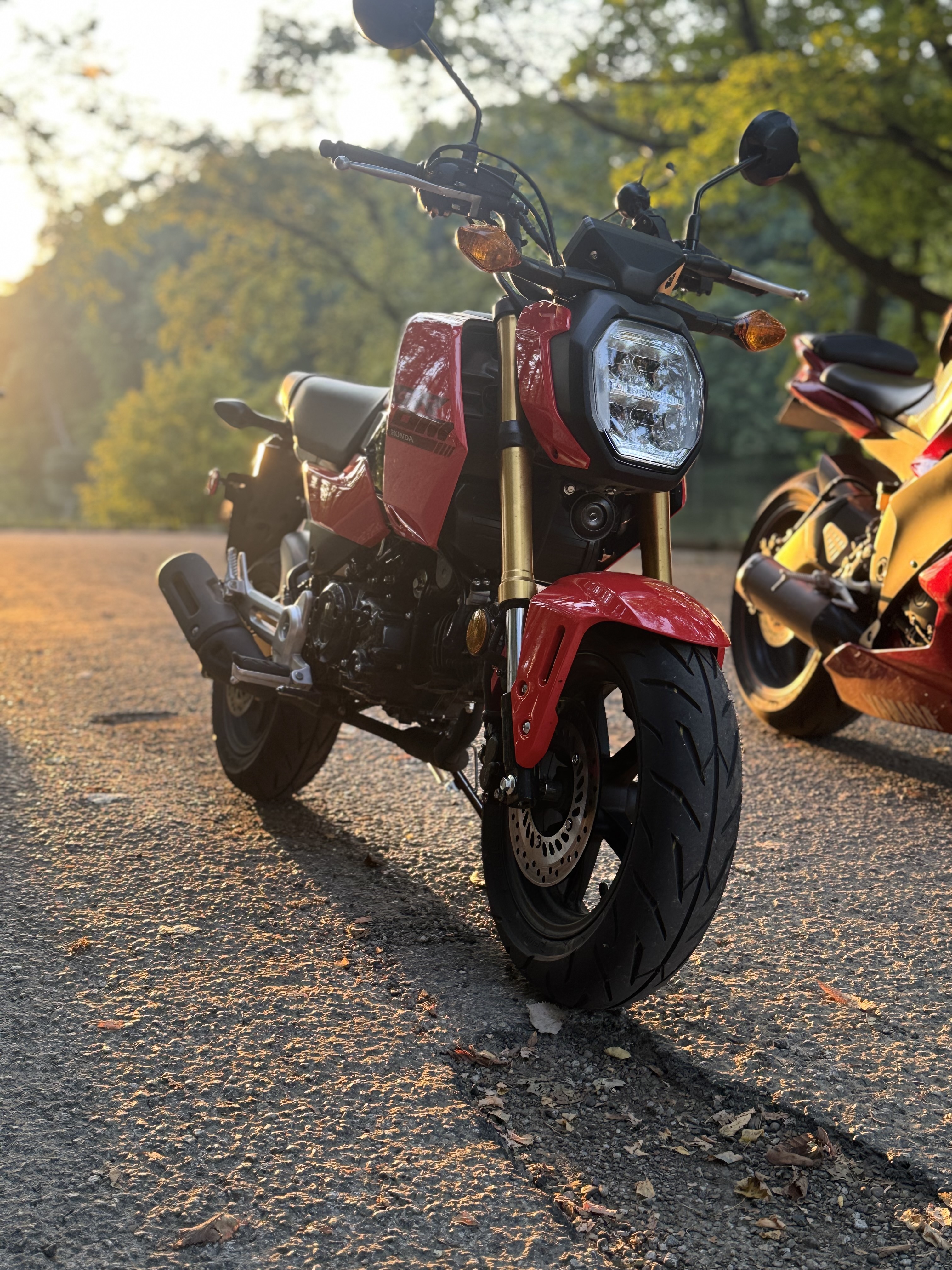 Honda Grom Motorcycles For Sale Near Lower Gwynedd, PA - Cycle Trader