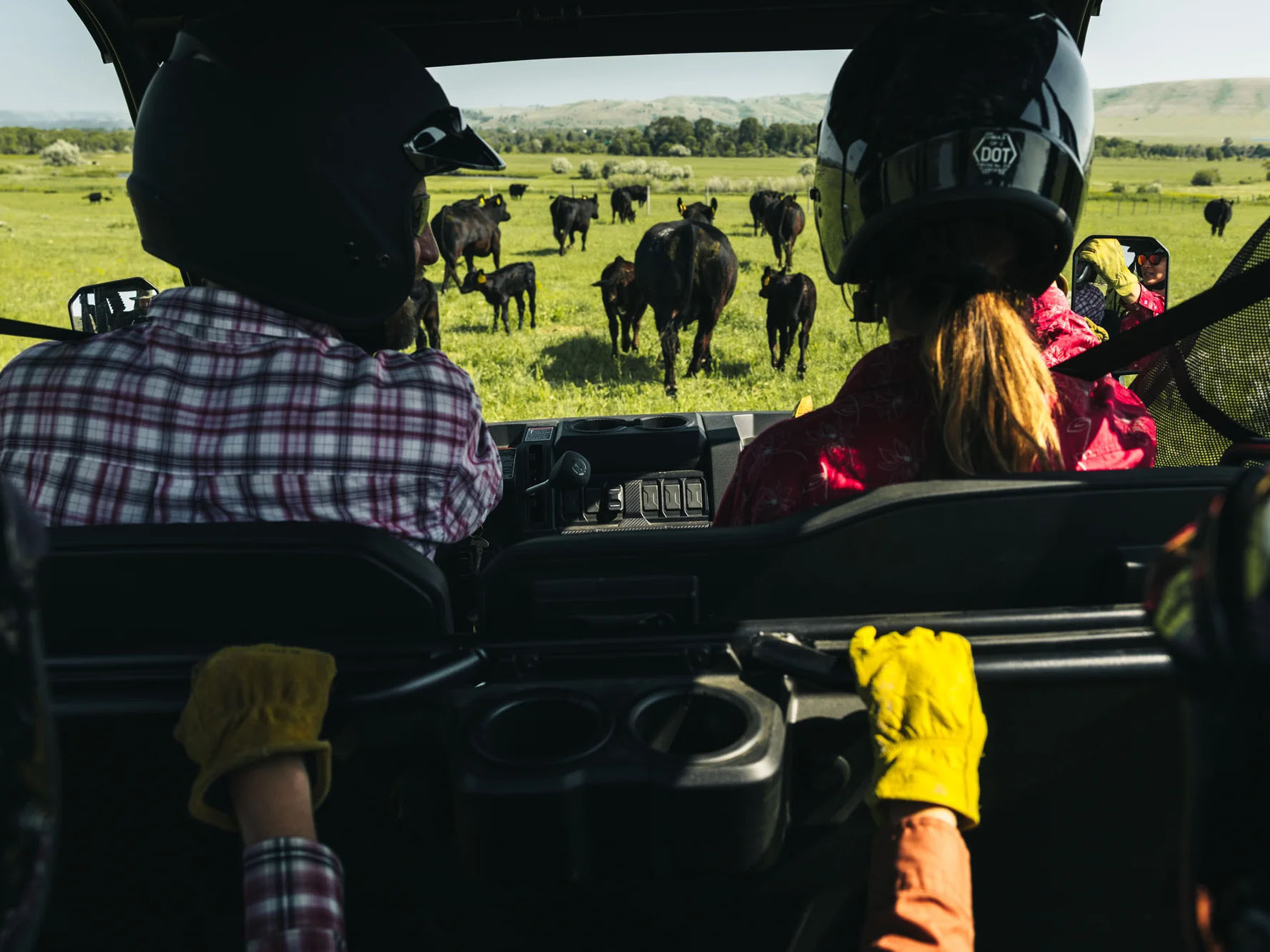 New 2026 Cfmoto Uforce 800 Xl For Sale in Clovis, NM - 5038505241 - ATV ...