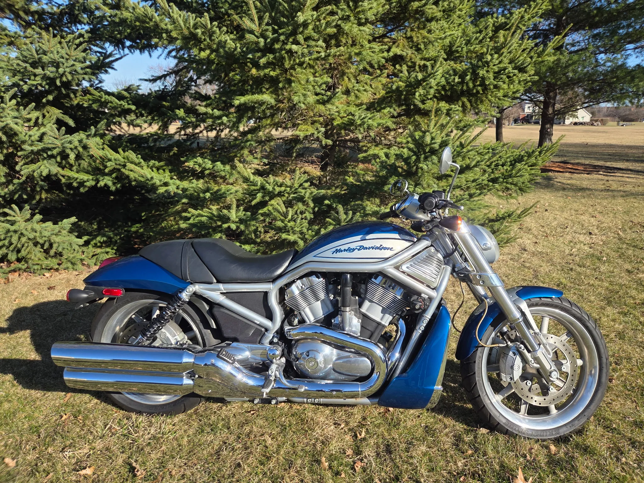2006 Harley-Davidson V-Rod Motorcycles For Sale - Cycle Trader